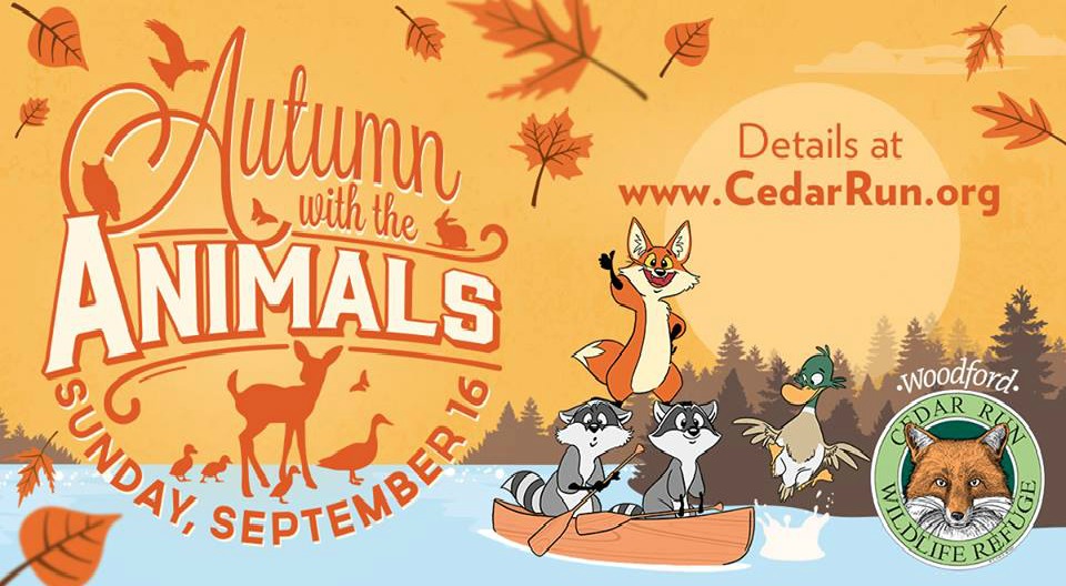 Autumn with the Animals at Woodford Cedar Run - Things to Do In New Jersey