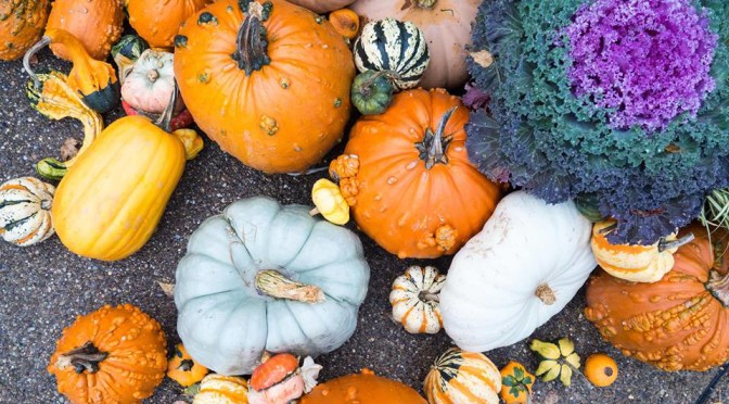 Celebrate Fall Festival at Reeves Reed Arboretum - Things to Do In New ...