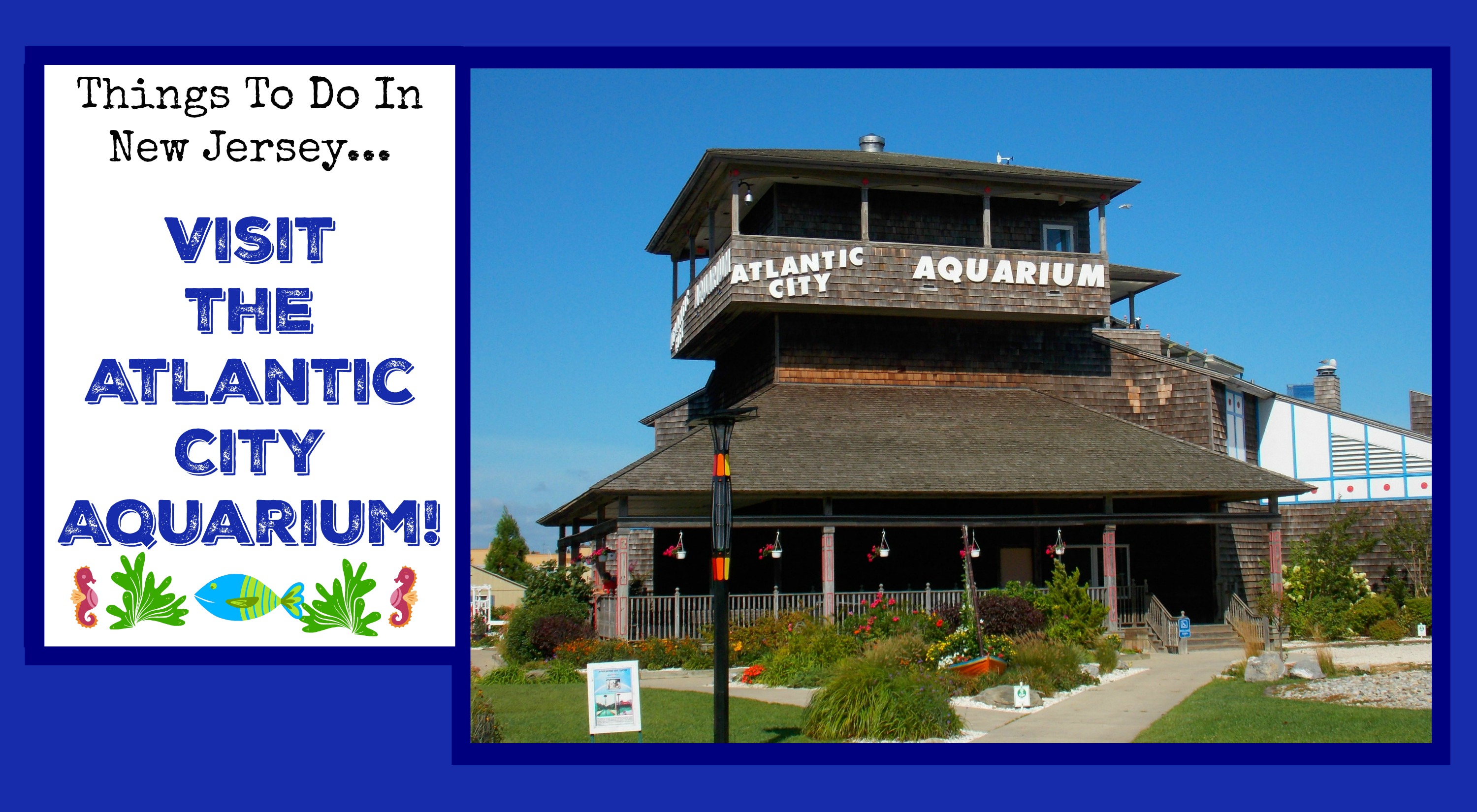 Visit The Atlantic City Aquarium Things To Do In New Jersey